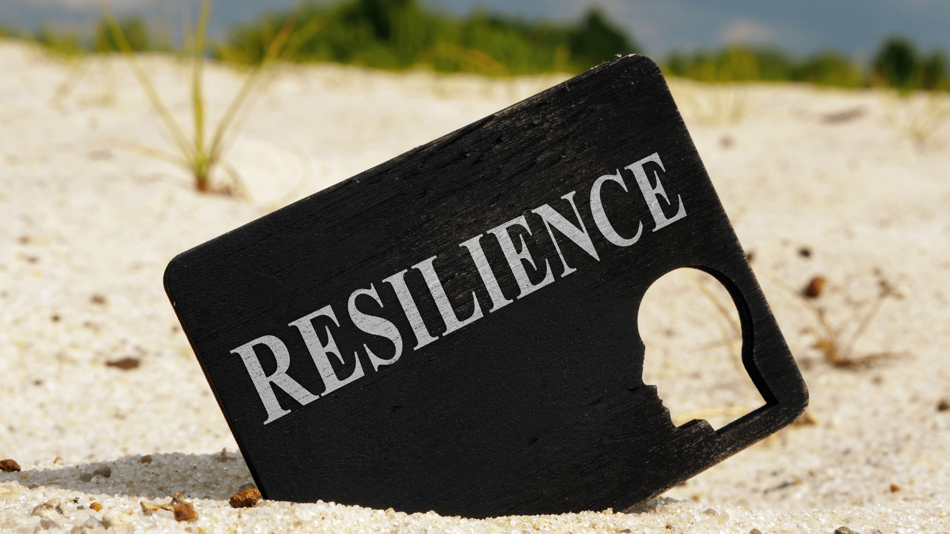Take the Resilience Assessment Quiz and Discover Your Strengths - Brian ...